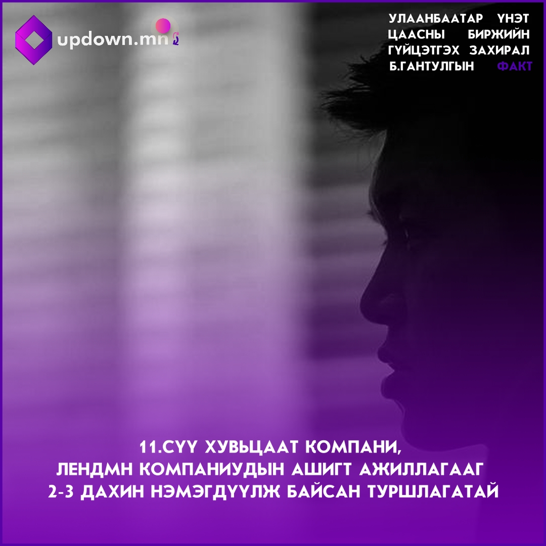 Улаанбаатар Үнэт Цаасны Биржийн Гүйцэтгэх Захирал Б.Гантулгын ФАКТ – updown.mn